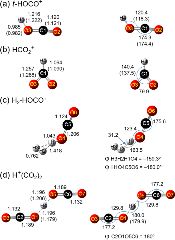 Infrared absorption of t-HOCO+, H+(CO2)2, and HCO2− produced in ...