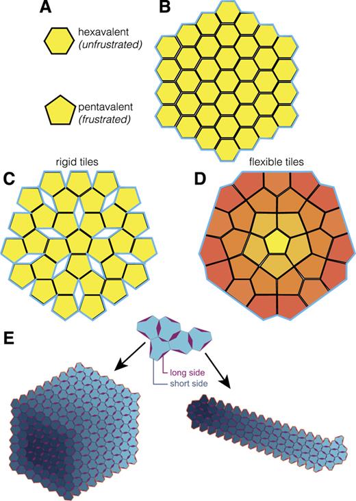 Perspective: Geometrically frustrated assemblies | The Journal of ...