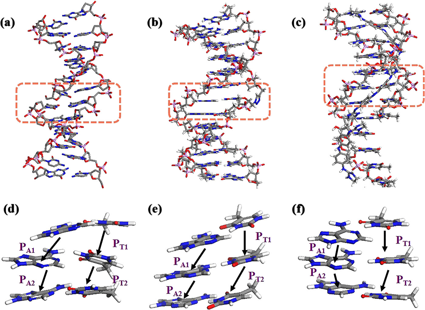 Carrier mobility in double-helix DNA and RNA: A quantum chemistry study ...