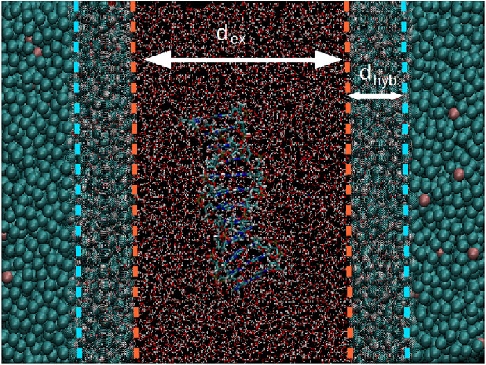 Adaptive resolution simulation of oligonucleotides | The Journal of Chemical Physics | AIP ...
