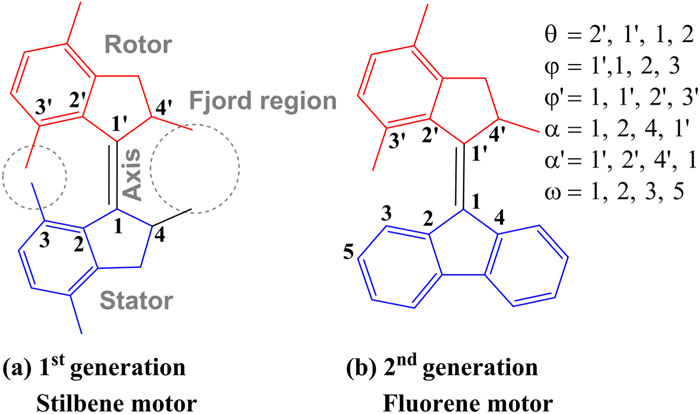 Different conical intersections control nonadiabatic photochemistry of fluorene light-driven ...