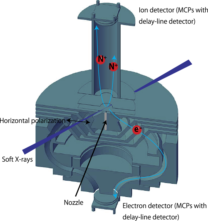 Stability and dissociation dynamics of N2++ ions following core ...