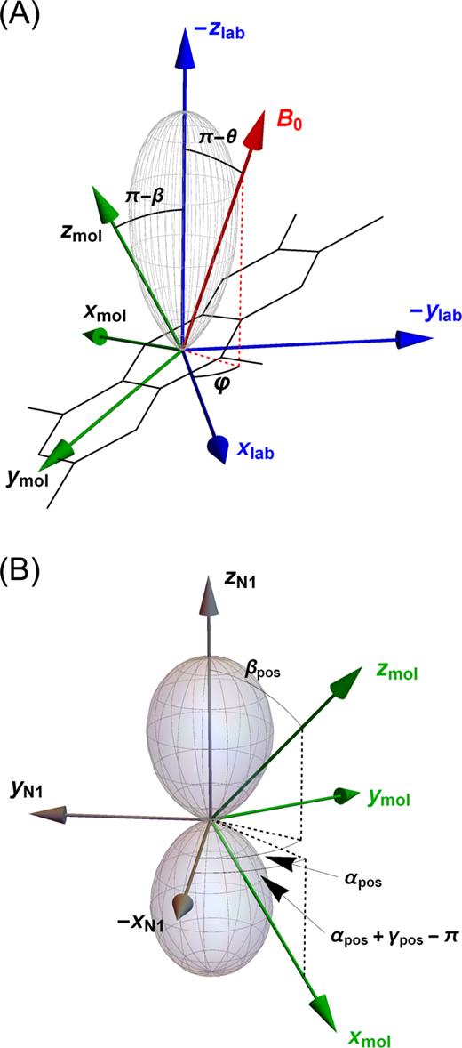 Spin Relaxation Of Radicals In Cryptochrome And Its Role In Avian Magnetoreception The Journal