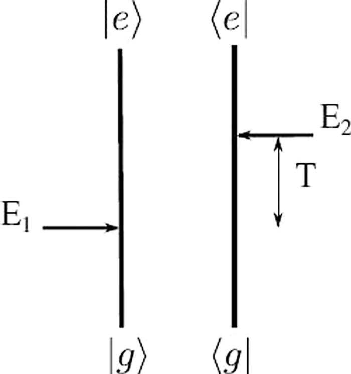 Communication: The origin of many-particle signals in nonlinear optical ...