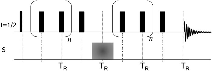 Analysis of large-anisotropy-spin recoupling pulses for distance ...