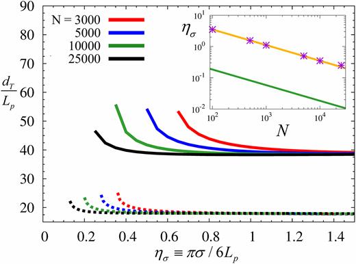 Segment-scale, force-level theory of mesoscopic dynamic localization ...