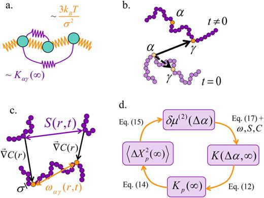 Segment-scale, force-level theory of mesoscopic dynamic localization ...