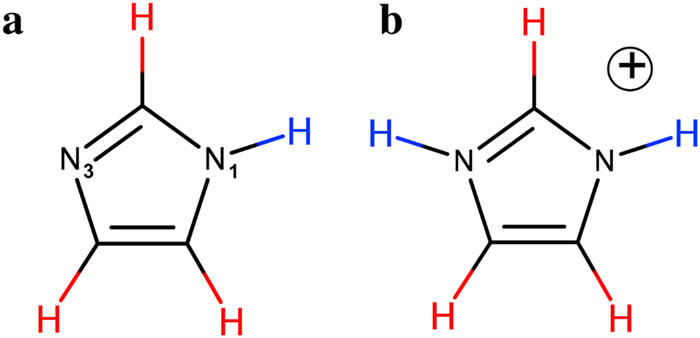 Changes in the hydration structure of imidazole upon protonation ...