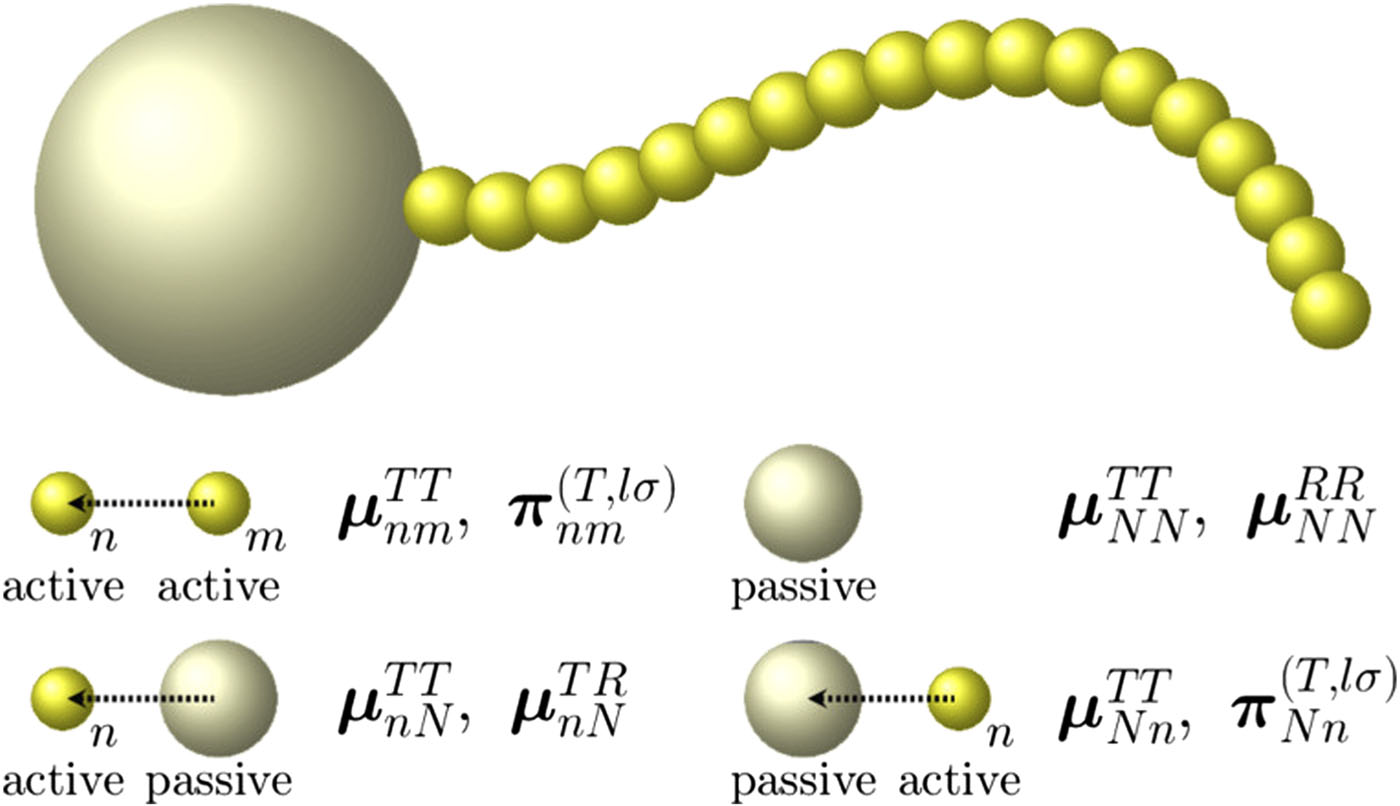 Colloidal transport by active filaments | The Journal of Chemical ...