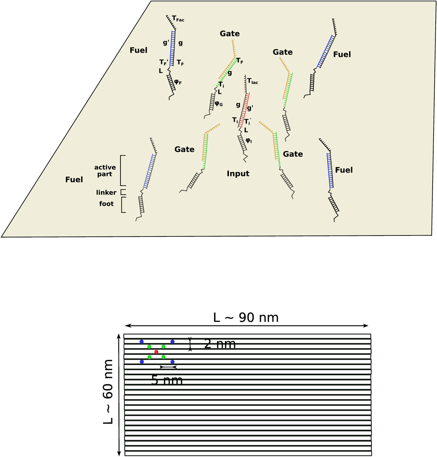 Signal replication in a DNA nanostructure | The Journal of Chemical ...