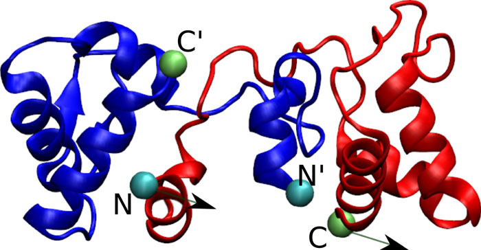 Structural entanglements in protein complexes | The Journal of Chemical ...