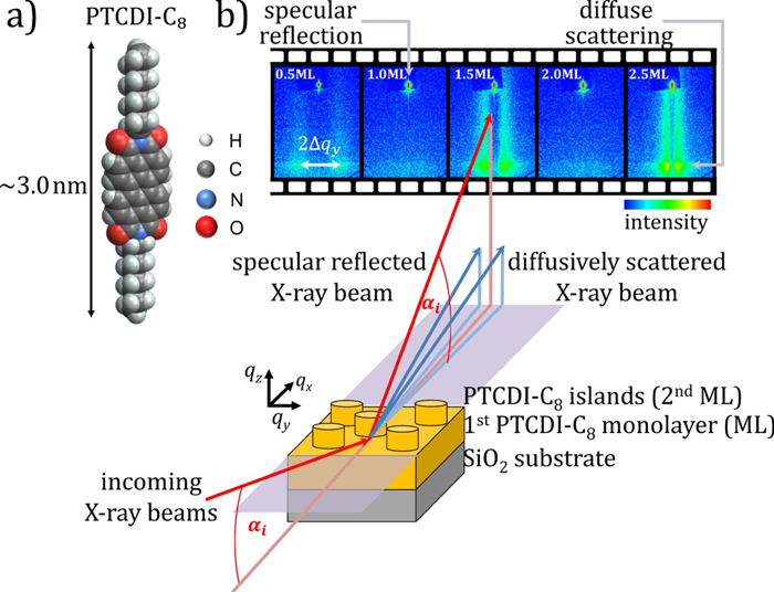 Diffusion and nucleation in multilayer growth of PTCDI-C8 studied with ...