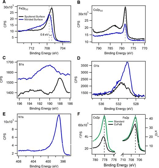Cobalt and iron segregation and nitride formation from nitrogen plasma ...
