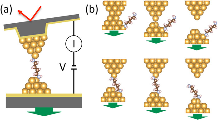 Modeling single molecule junction mechanics as a probe of interface ...