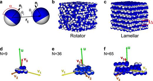 Janus particle rotator-to-lamellar nucleation and growth kinetics | The ...