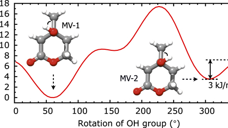 On the structural intricacies of a metabolic precursor: Direct ...