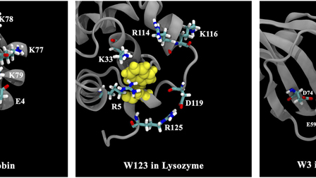 Origin of diverse time scales in the protein hydration layer solvation ...