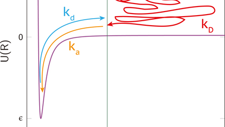 The magnitude of the intrinsic rate constant: How deep can association ...