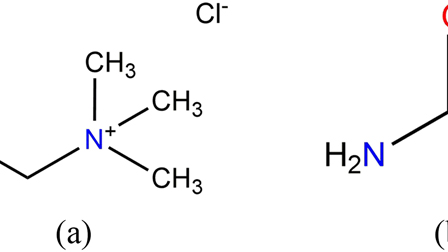 Bulk and interfacial structures of reline deep eutectic solvent: A ...