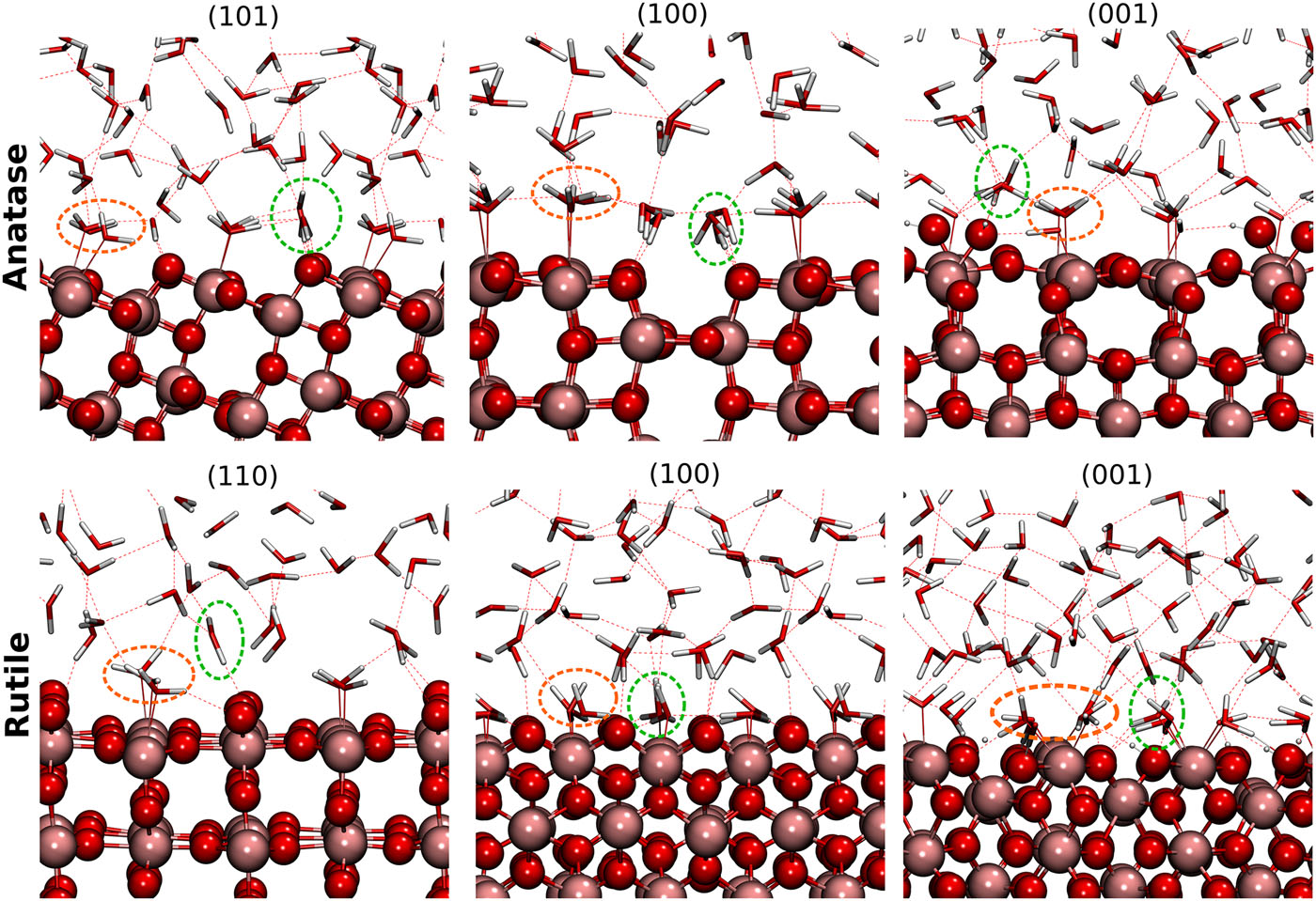 Diffusion and reaction pathways of water near fully hydrated TiO2 ...