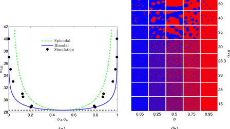 Dissipative particle dynamics study of phase separation in binary fluid mixtures in periodic and ...
