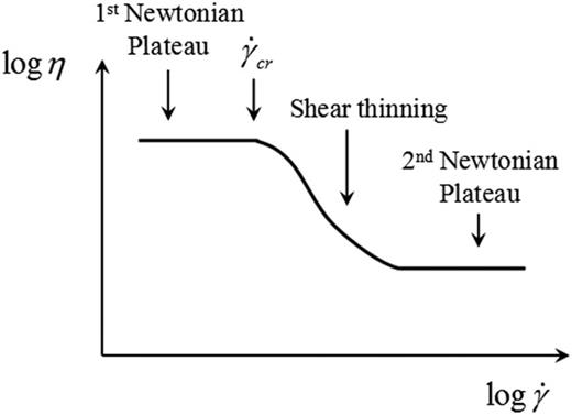 Lubricant shear thinning behavior correlated with variation of radius ...