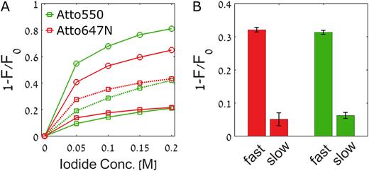 Lipid diffusion in the distal and proximal leaflets of supported lipid ...