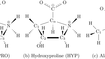 Quantum mechanical effects in zwitterionic amino acids: The case of ...