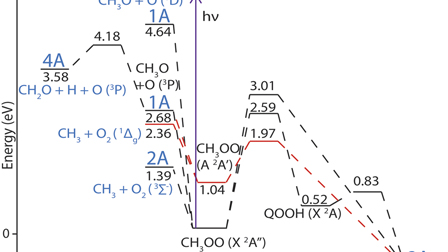 Photodissociation dynamics of the simplest alkyl peroxy radicals, CH3OO ...
