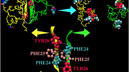 Insulin dimer dissociation in aqueous solution: A computational study ...