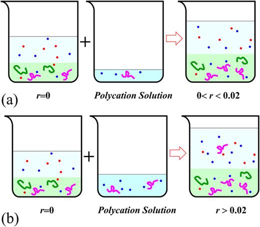 Polyelectrolyte complex coacervation: Effects of concentration ...
