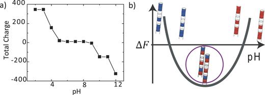 Electrostatic effects in collagen fibril formation | The Journal of ...