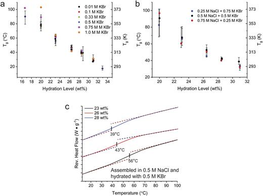 Comparison of KBr and NaCl effects on the glass transition temperature ...