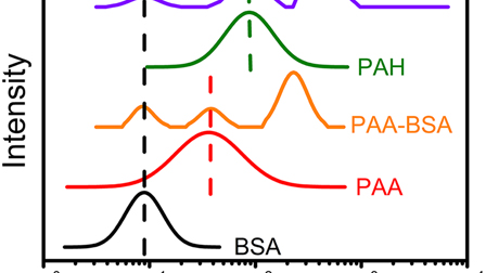 Protein encapsulation via polyelectrolyte complex coacervation ...