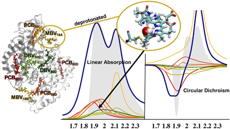 Perspective: Computational chemistry software and its advancement as ...