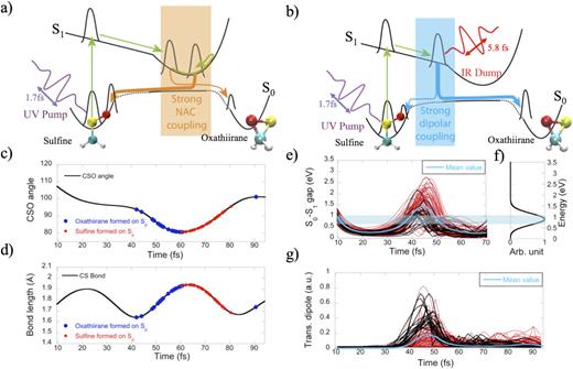Steering the outcome of a photochemical reaction—An in silico ...