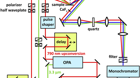 Heterodyne transient vibrational SFG to reveal molecular responses to ...