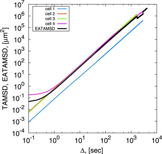 Transient superdiffusion of polydisperse vacuoles in highly motile ...