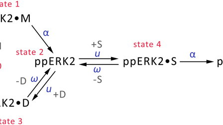 Kinetic network model to explain gain-of-function mutations in ERK2 ...