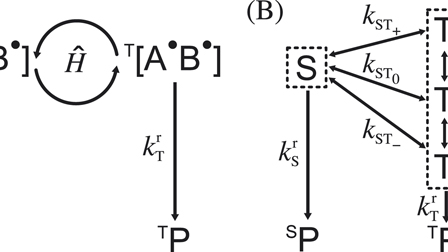 Radical pair intersystem crossing: Quantum dynamics or incoherent ...