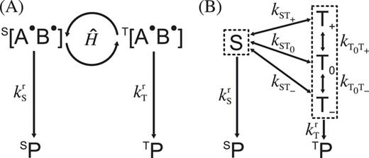Radical pair intersystem crossing: Quantum dynamics or incoherent kinetics? | The Journal of ...