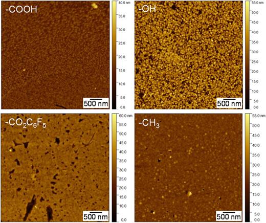 Polytype control of MoS2 using chemical bath deposition | The Journal ...