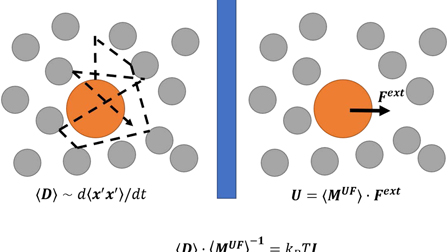 Fluctuation-dissipation in active matter | The Journal of Chemical ...