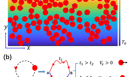 Rectification of chiral active particles driven by transversal ...