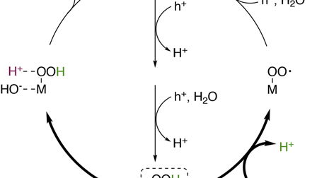 Selectivity of H2O2 and O2 by water oxidation on metal oxide surfaces ...