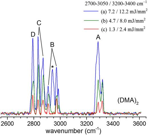 Infrared spectra of neutral dimethylamine clusters: An infrared-vacuum ...