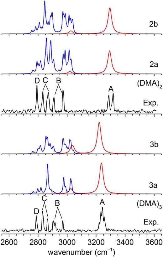 Infrared spectra of neutral dimethylamine clusters: An infrared-vacuum ...