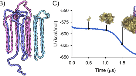 Divining the shape of nascent polymer crystal nuclei | The Journal of ...