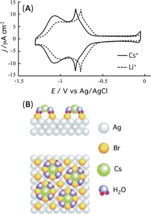 How cations affect the electric double layer and the rates and ...