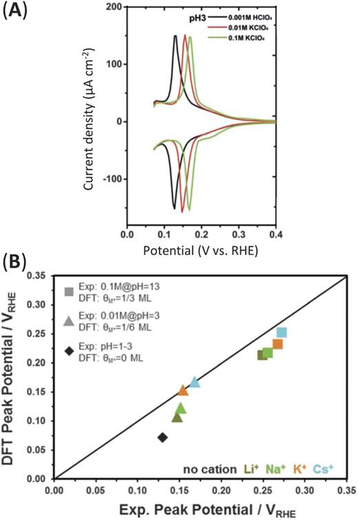 How cations affect the electric double layer and the rates and ...